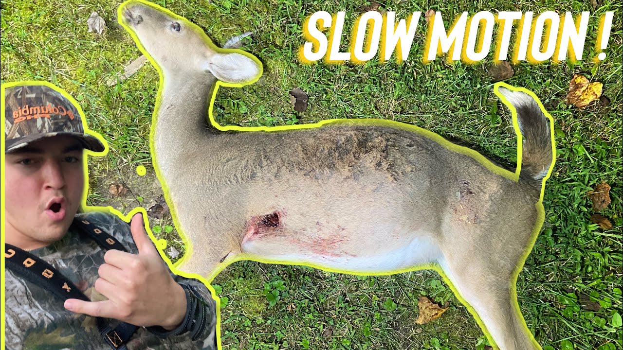 First Doe Of 2021!!! (SLOW MOTION) - YouTube