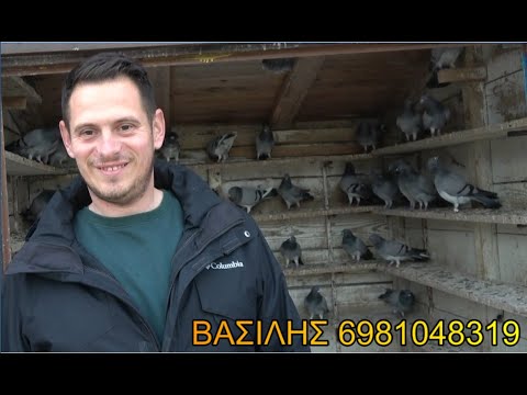 ΣΤΗΝ ΒΕΡΓΙΝΑ Ο ΒΑΣΙΛΑΚΗΣ ΓΡΑΦΕΙ ΙΣΤΟΡΙΑ ΣΤΟΝ ΝΕΟ ΤΟΠΟ 2024 - YouTube