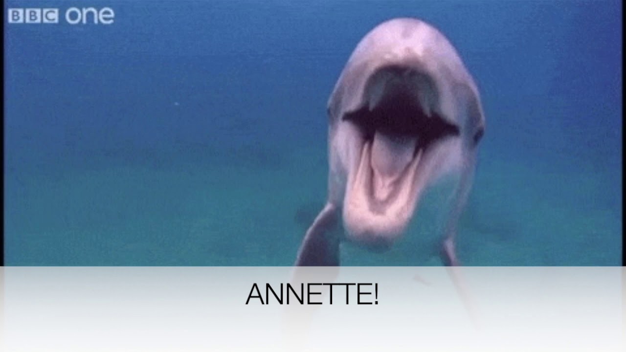 Annette fish joke - YouTube