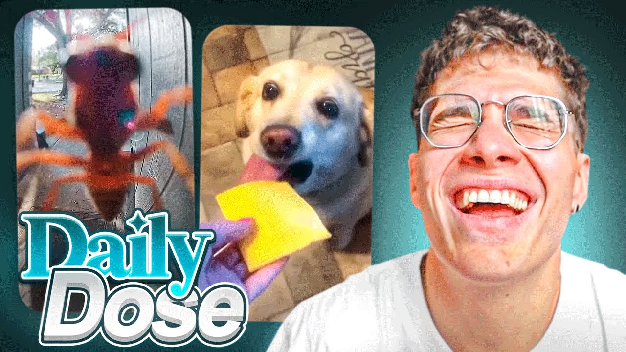 queso 🧀 - YouTube