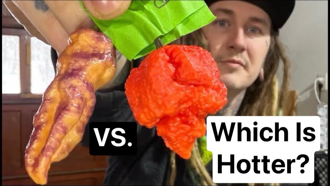 Blue Peach Ghost Pepper Vs. RB003 | Grown By The Grumpy Gill - YouTube