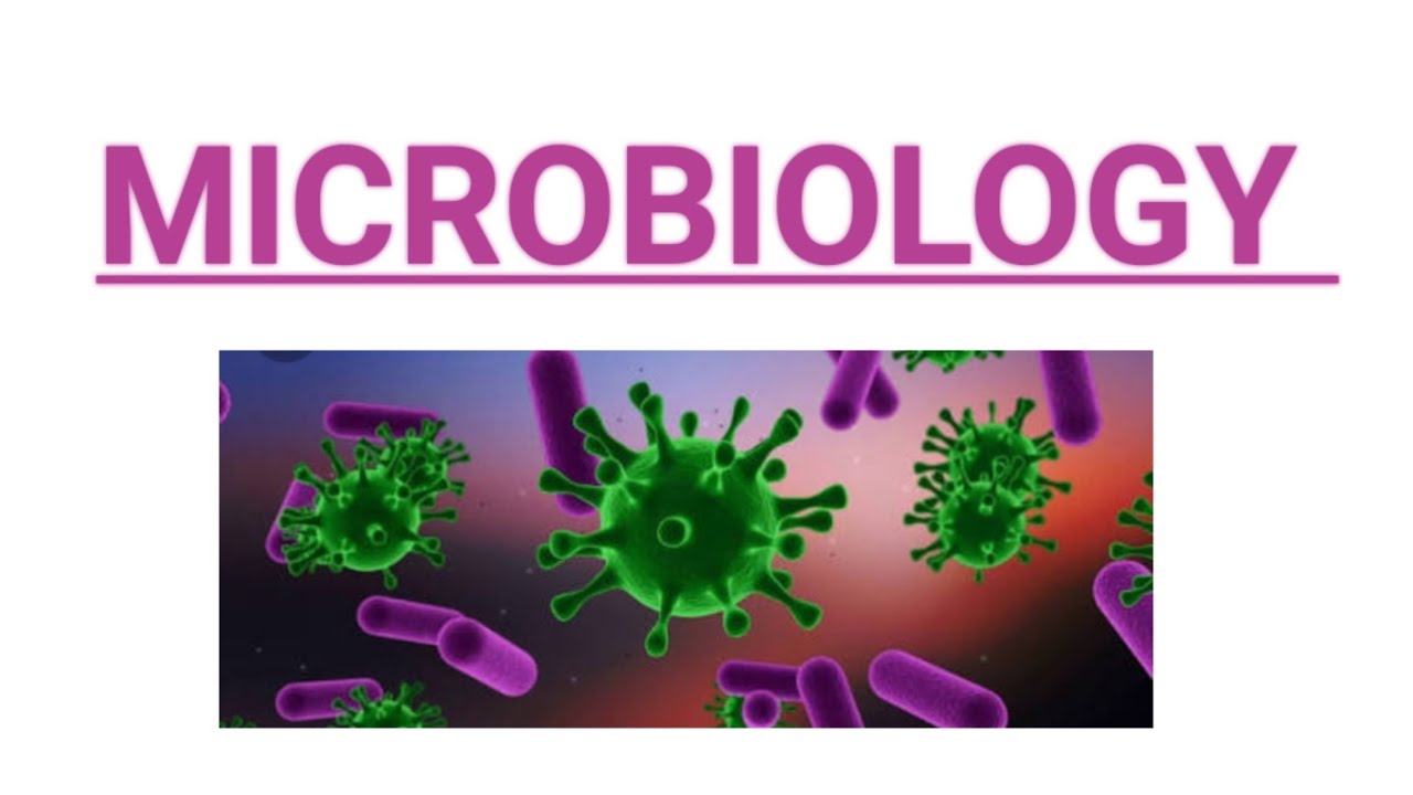 MICROBIOLOGY - YouTube