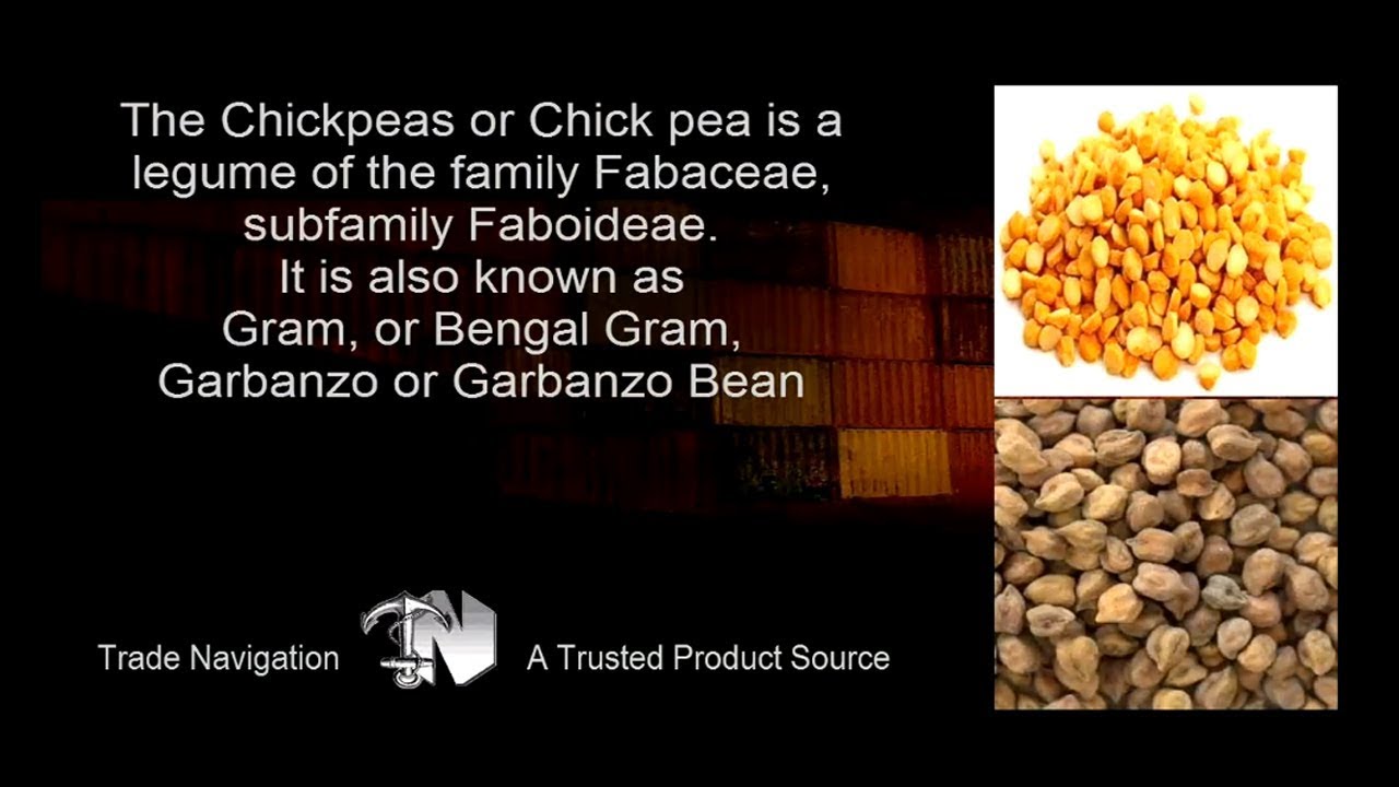 Chick Peas- Chana Boot- Cana Daal- Kabuli Chana - YouTube
