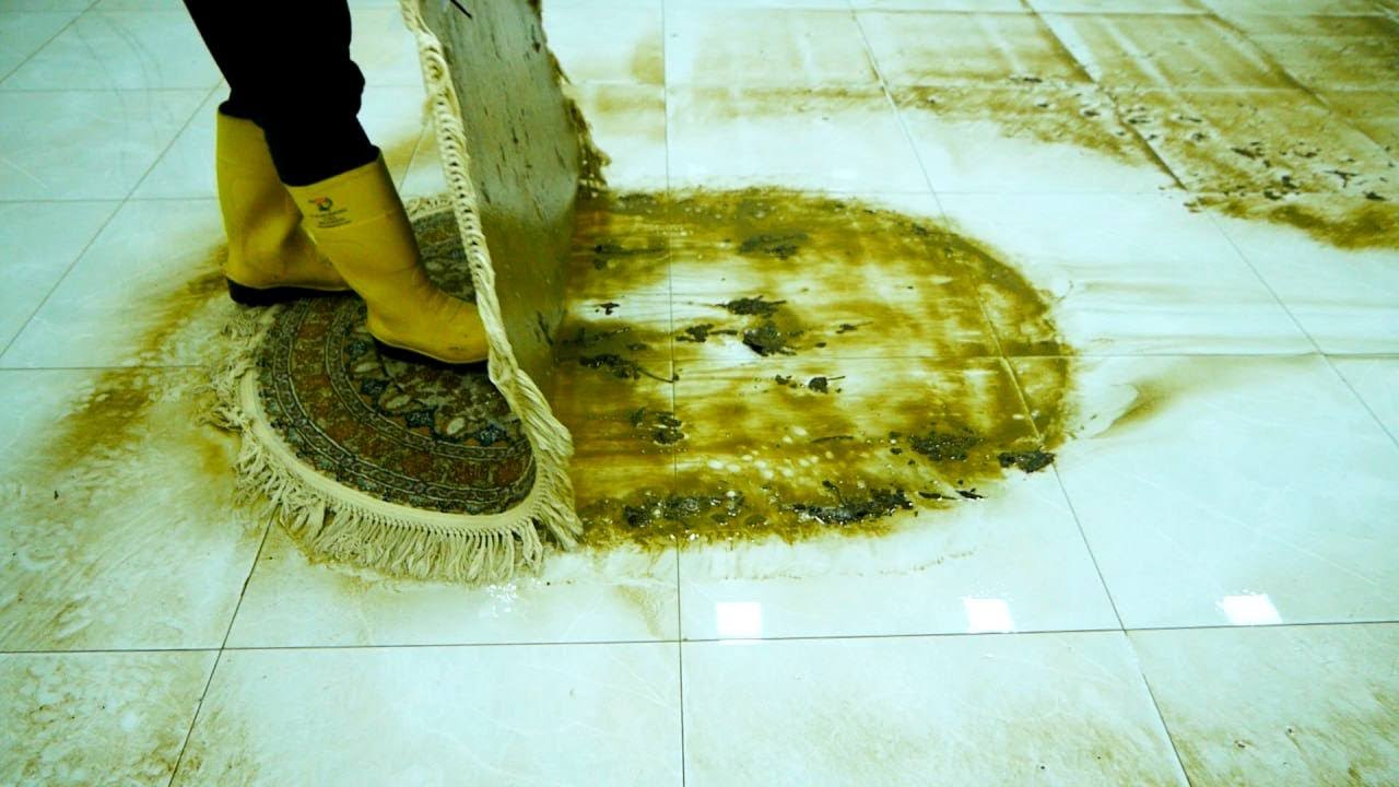 Remember This Dirty Carpet ? Look at It Now 👀 - YouTube