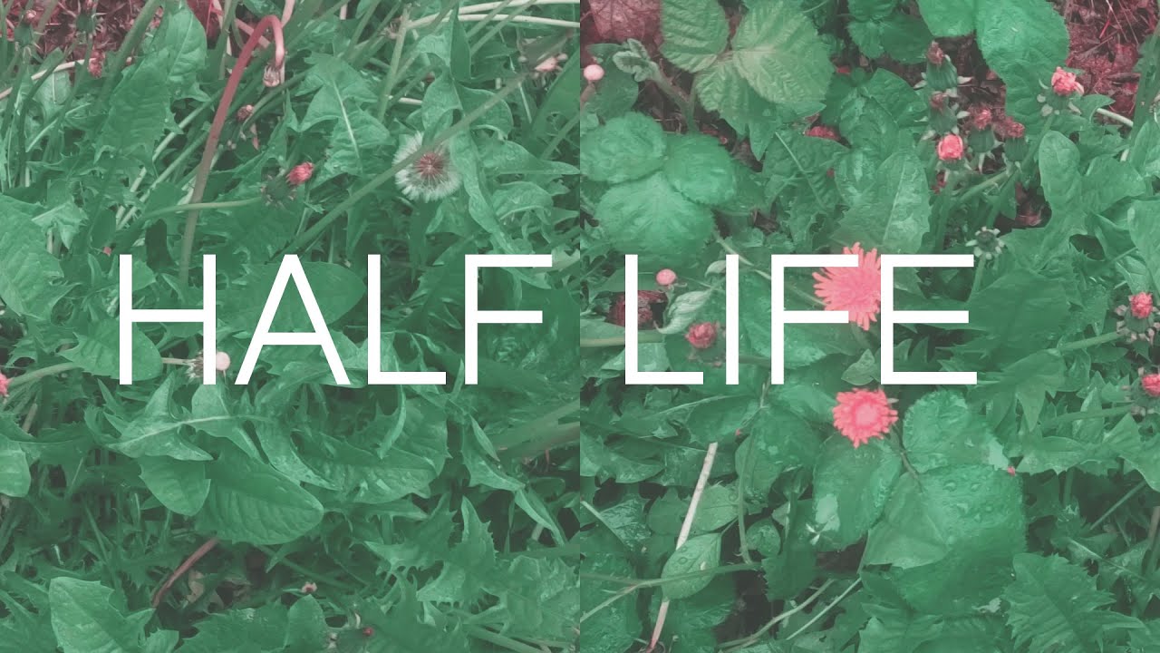 Lunar Lore Series: "Half Life" - YouTube