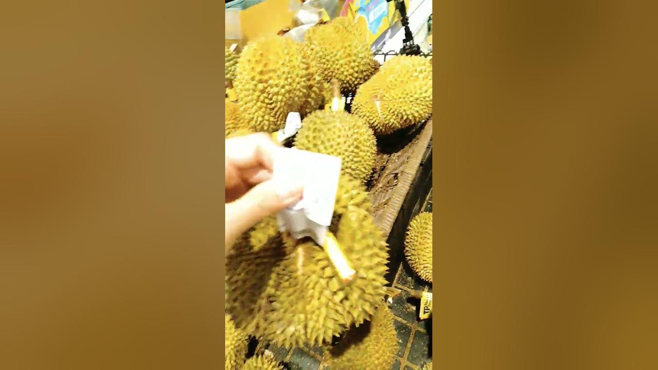 Durian Thailand Ikandalamkolam Youtube