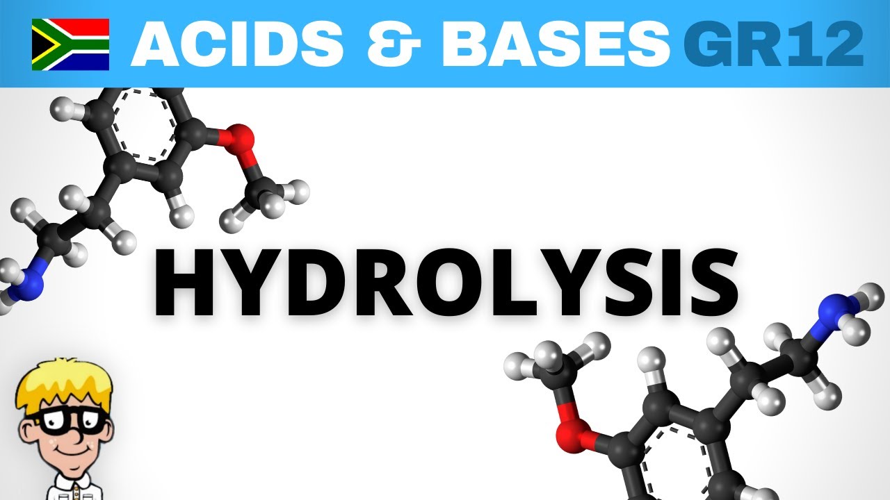 Acids and Bases Grade 12: Hydrolysis - YouTube