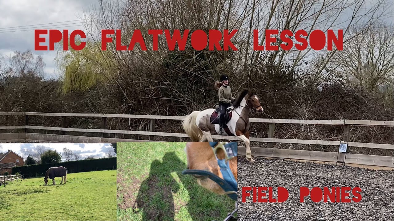 EPIC FLATWORK LESSON! Working On Our Canter | Lily And Chilli - YouTube