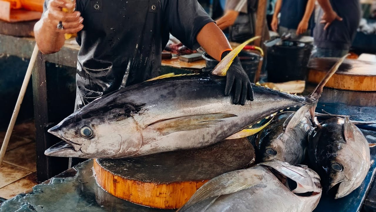 Tuna Cutting Show – Skill & Precision in Real Time - YouTube