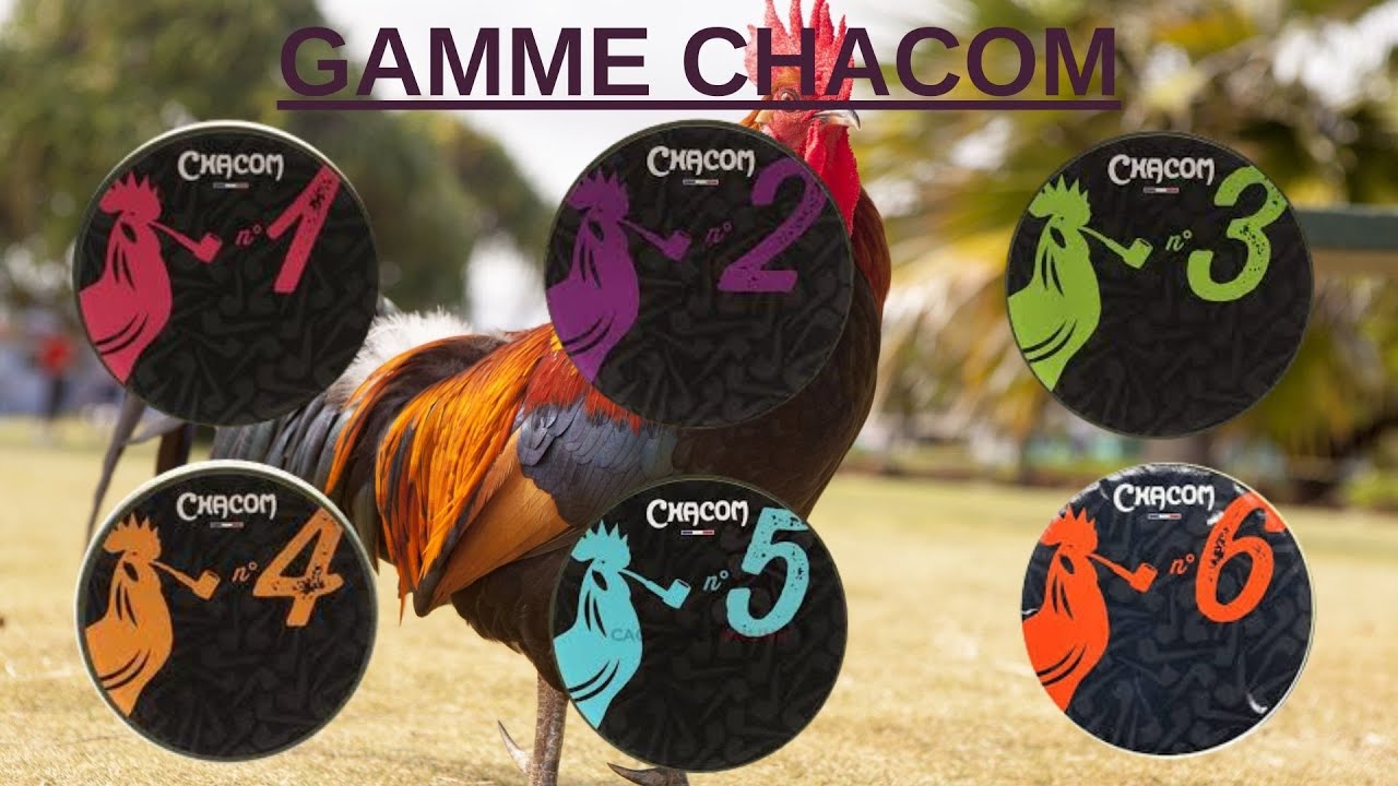 Tabacs à pipe vendus en France : la gamme des Chacom - YouTube