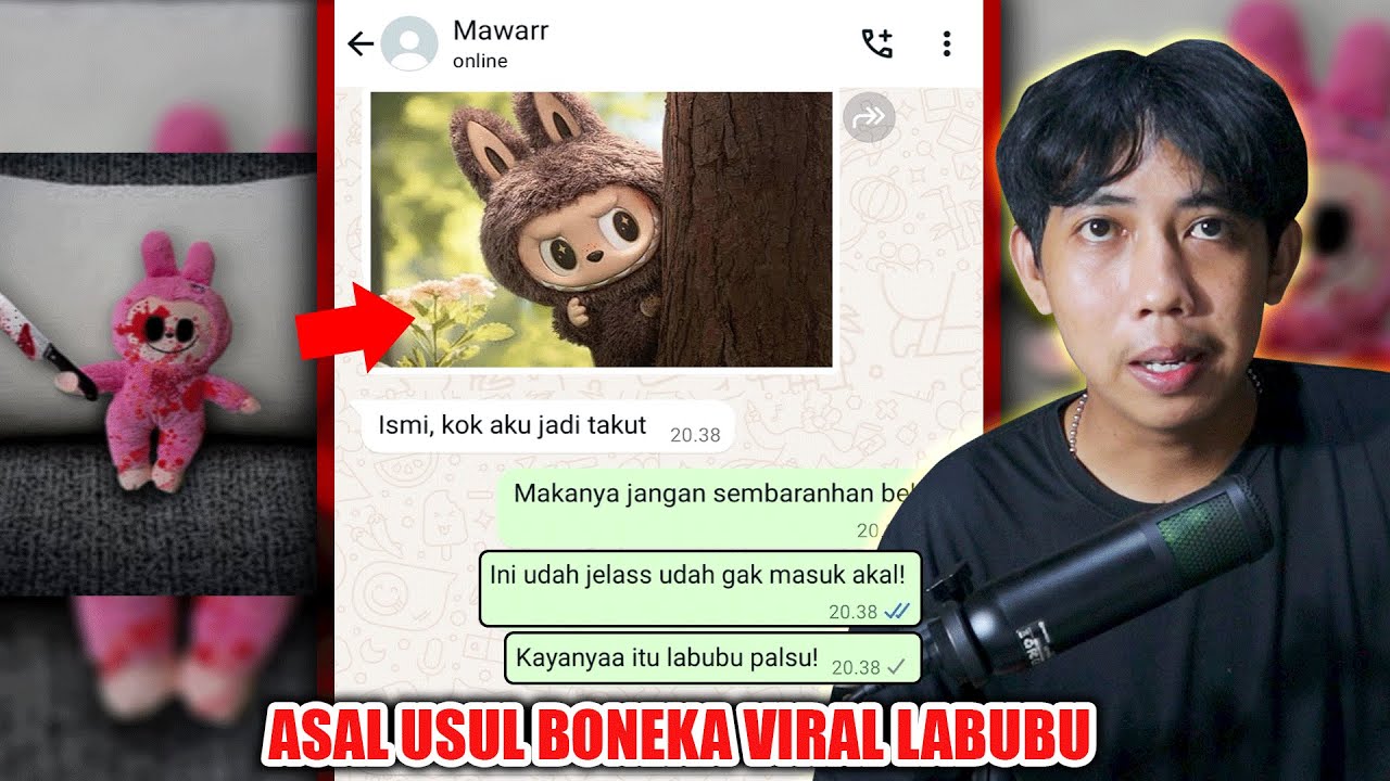 ASAL USUL BONEKA VIRAL LABUBU 😱 | CHAT HISTORY HORROR INDONESIA - YouTube