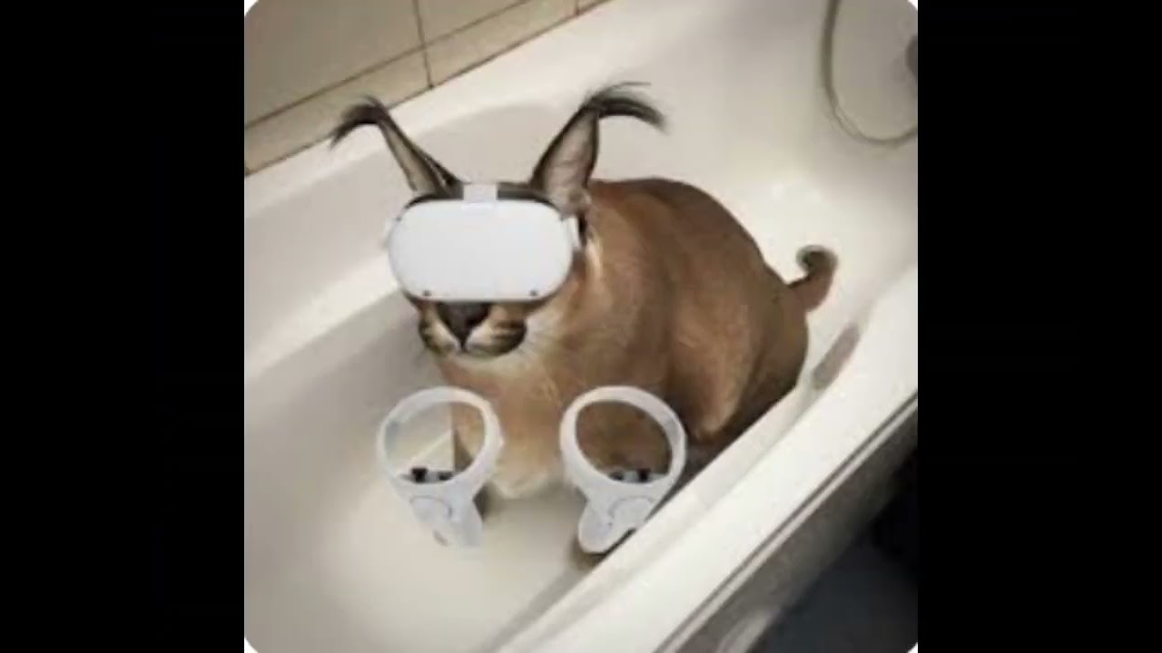 floopa memes - YouTube