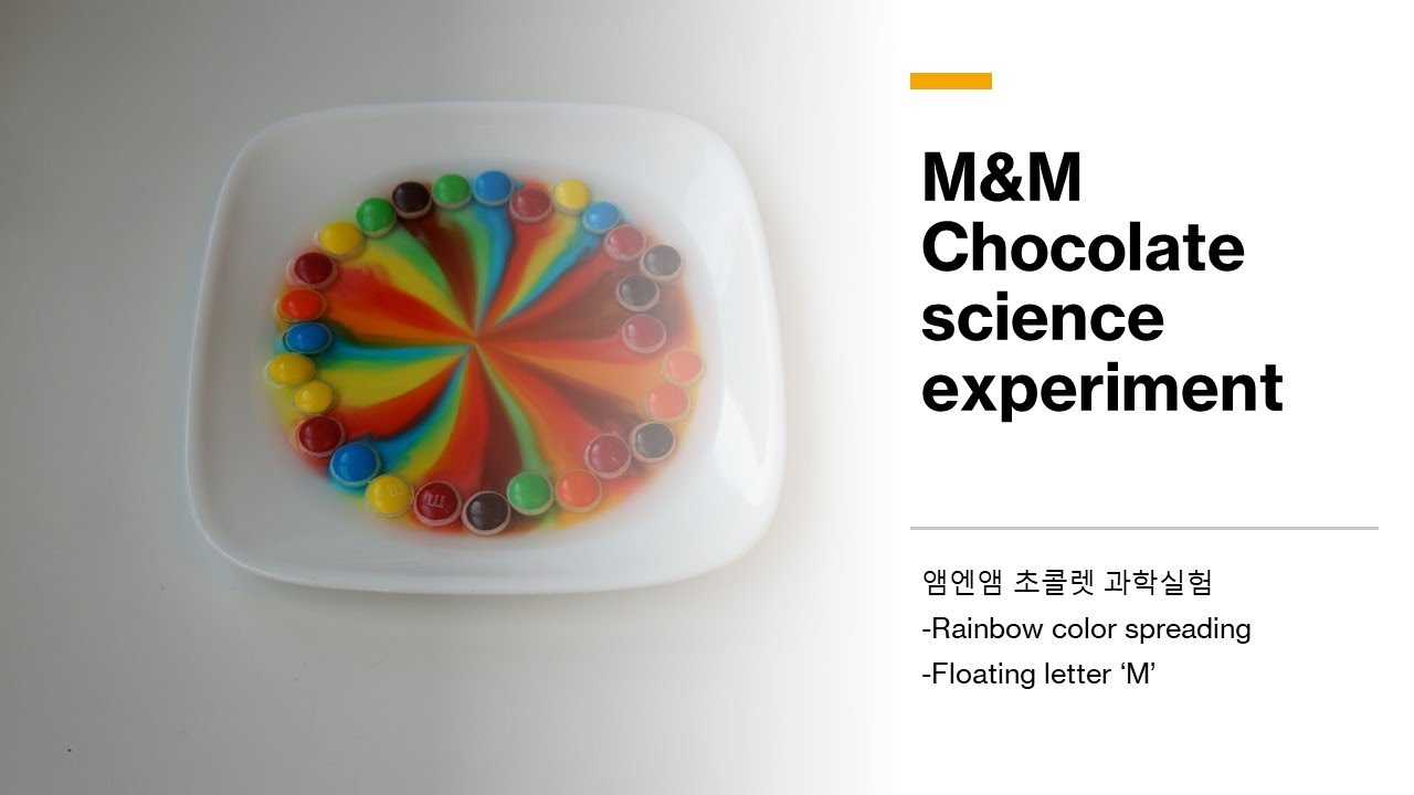 M&M Chocolate Rainbow Science Experiments 앰앤앰 초콜렛 레인보우 컬러 색소 확산 과학실험 ...