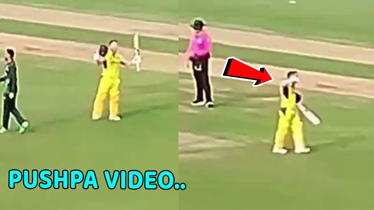 David Warner Pushpa style celebration real video on Aus vs Pak wc Match ...