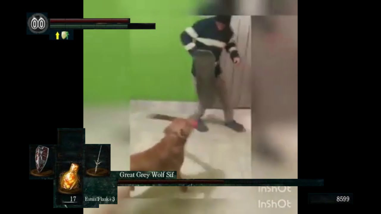 Perro con machete Sif [Dark Souls Gameplay] - YouTube