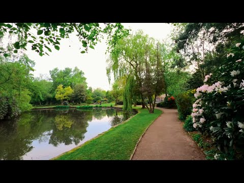 A Peaceful Early Morning Walk at Leek Nature Reserve