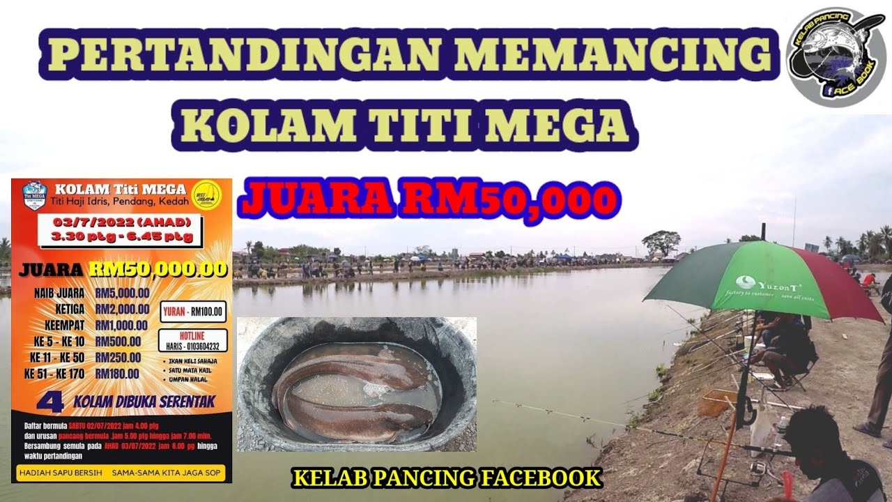 IKAN KELI 12.25KG JUARA RM50,000 PERTANDINGAN MEMANCING DI KOLAM TITI ...