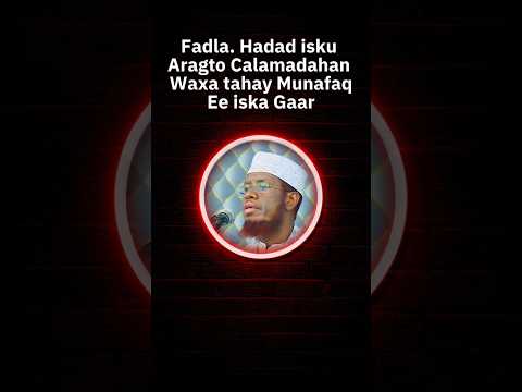 #Hadad Calamadahan  isku aragto waxa tahay #somalia #viralvideo #video #viral #viralshorts