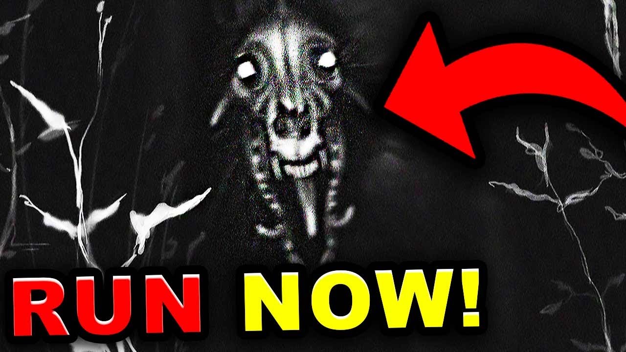 Don’t pet the hound. - Backrooms Level 62 - YouTube