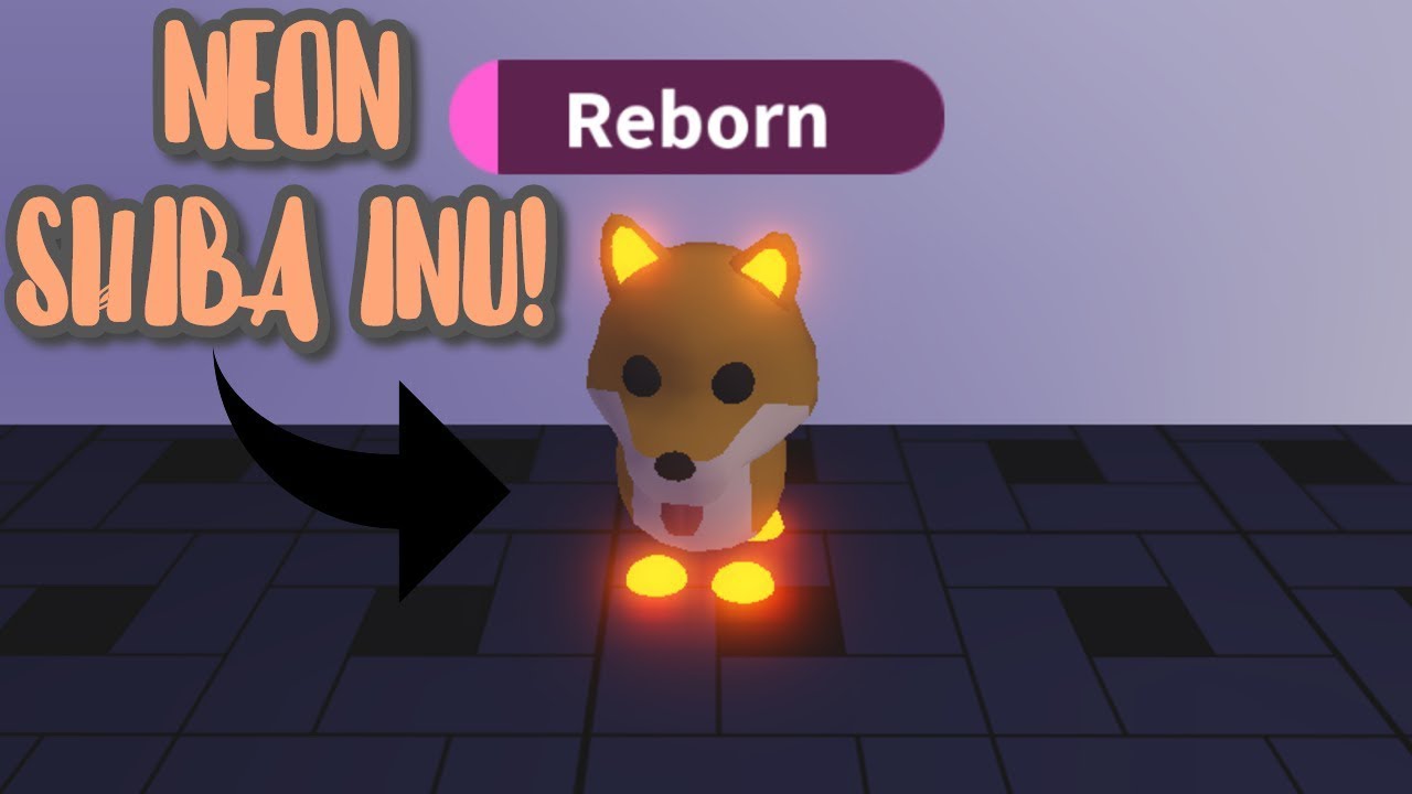 Trading Offers For Shiba Inu In Adopt Me @PlayAdoptMe - YouTube