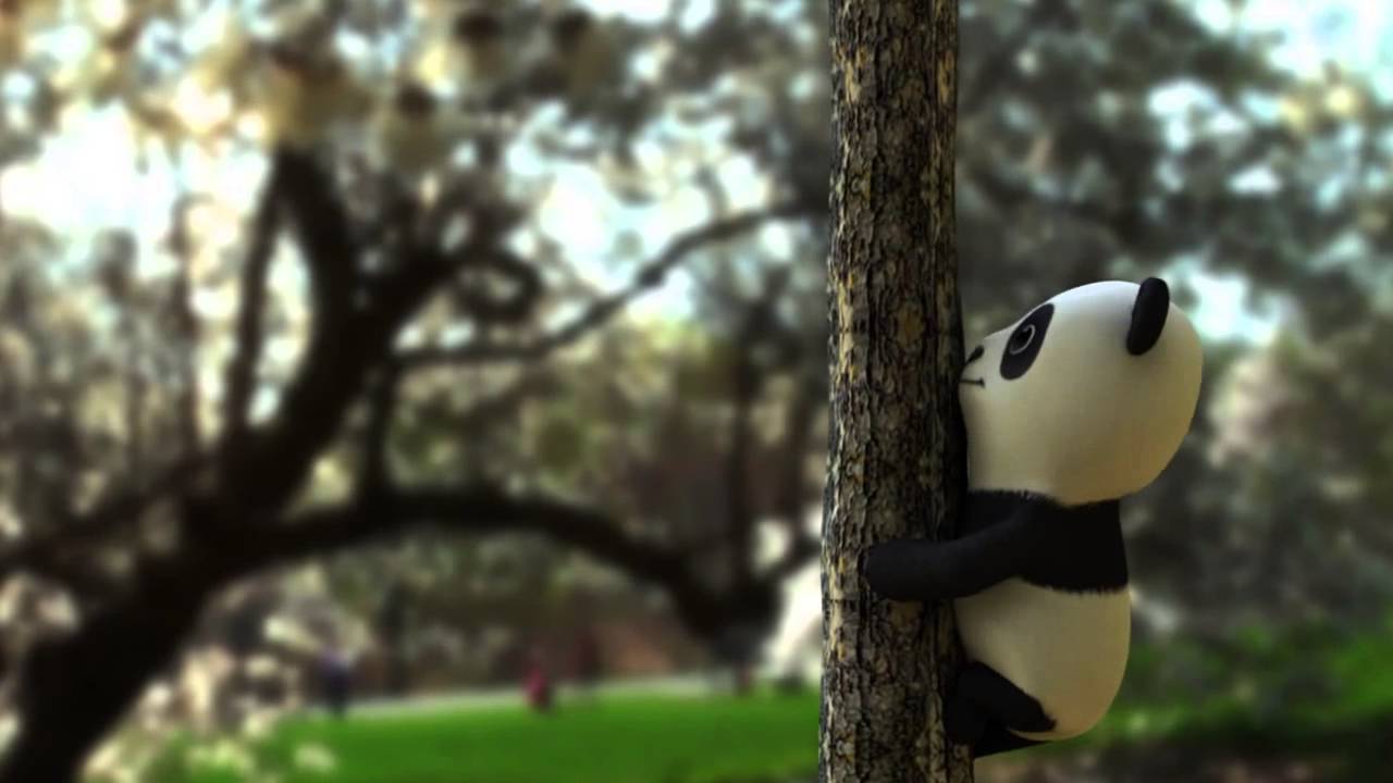 Baby Panda Climbing Tree - YouTube