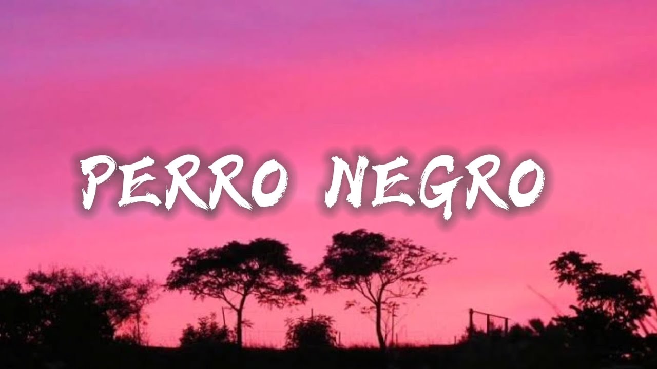 BAD BUNNY Ft. FEID - PERRO NEGRO (Letra/Lyrics) - YouTube