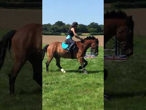 Blyth Farm showjumping - YouTube