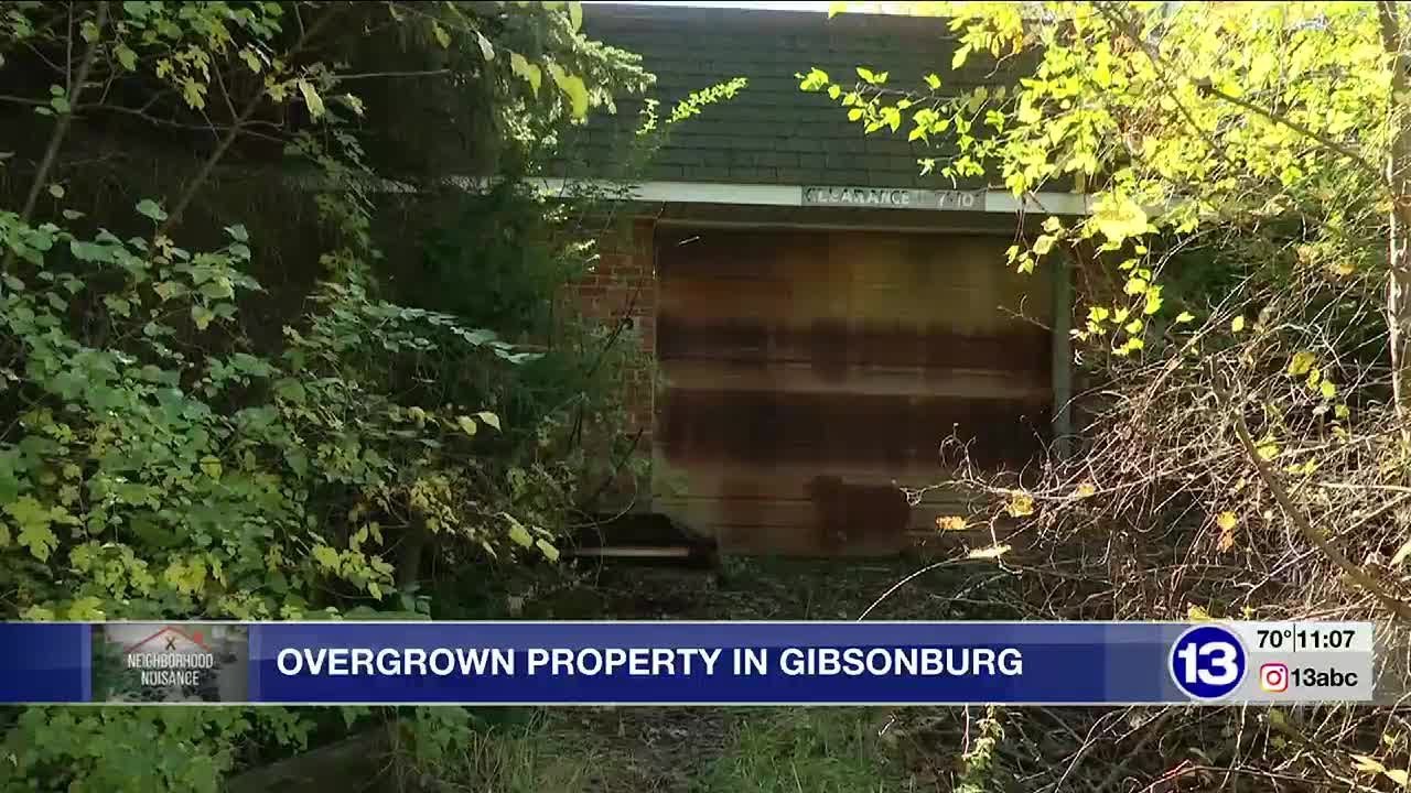 Neighborhood Nuisance: Overgrown property, collapsing building near ...