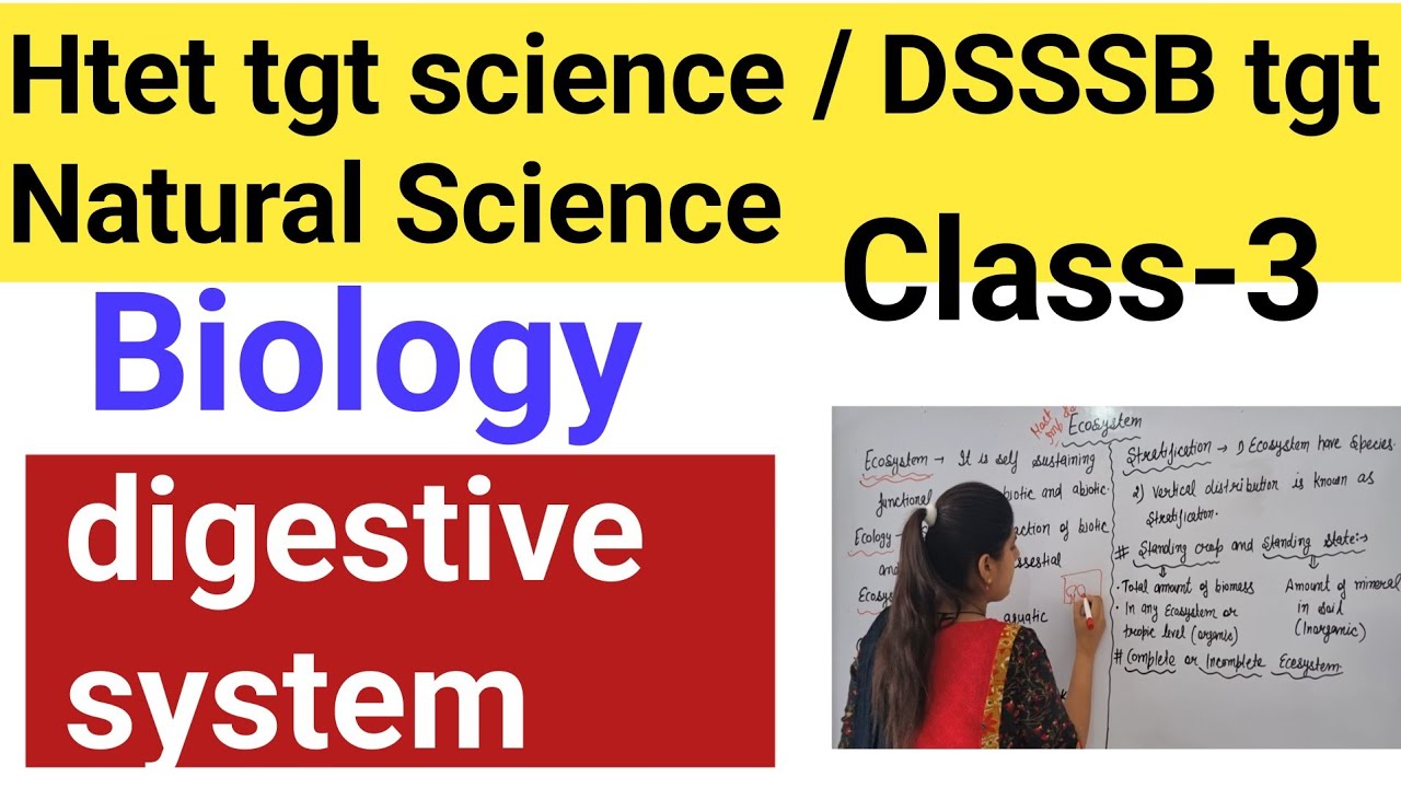 Digestive system || Htet tgt science most important topic#dsssb2024 # ...
