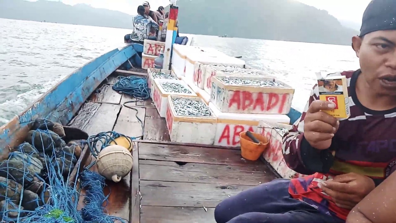 Perahu Payang Momot Banyak Ikan Di Pantai Selatan Prigi #KM. ABADI ...