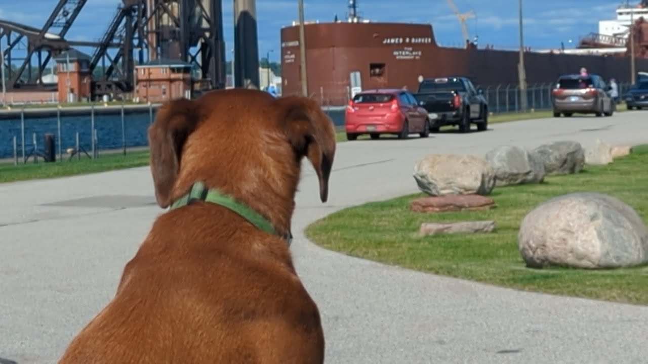 Argo found us the James R. Barker for another Barker Bark! - YouTube