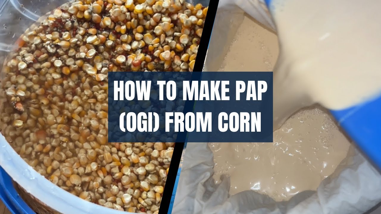 How to make Akamu|Ogi|Pap from corn|Corn meal|Weight gain food for ...