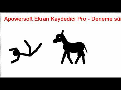 Sinirli at (kısa videolar2)