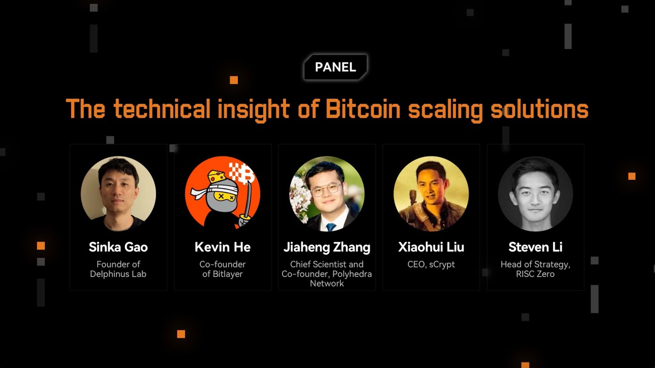 The Technical Insight of Bitcoin Scaling Solutions | Bitcoin Next, Ep ...