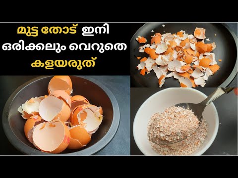 മുട്ട തോട് കൊണ്ടുള്ള ഈ സൂത്രം അറിയാതെ പോകരുത് | The best egg shell hack ...