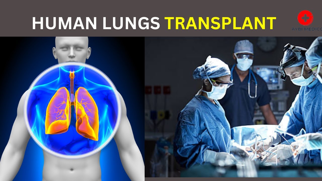 How Does Lung Transplant Works? | Human Lungs Transplant - YouTube