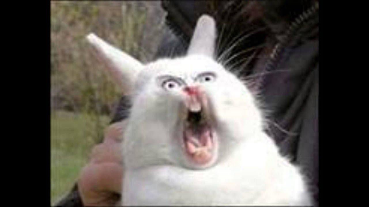 Trololo Song Ever - YouTube