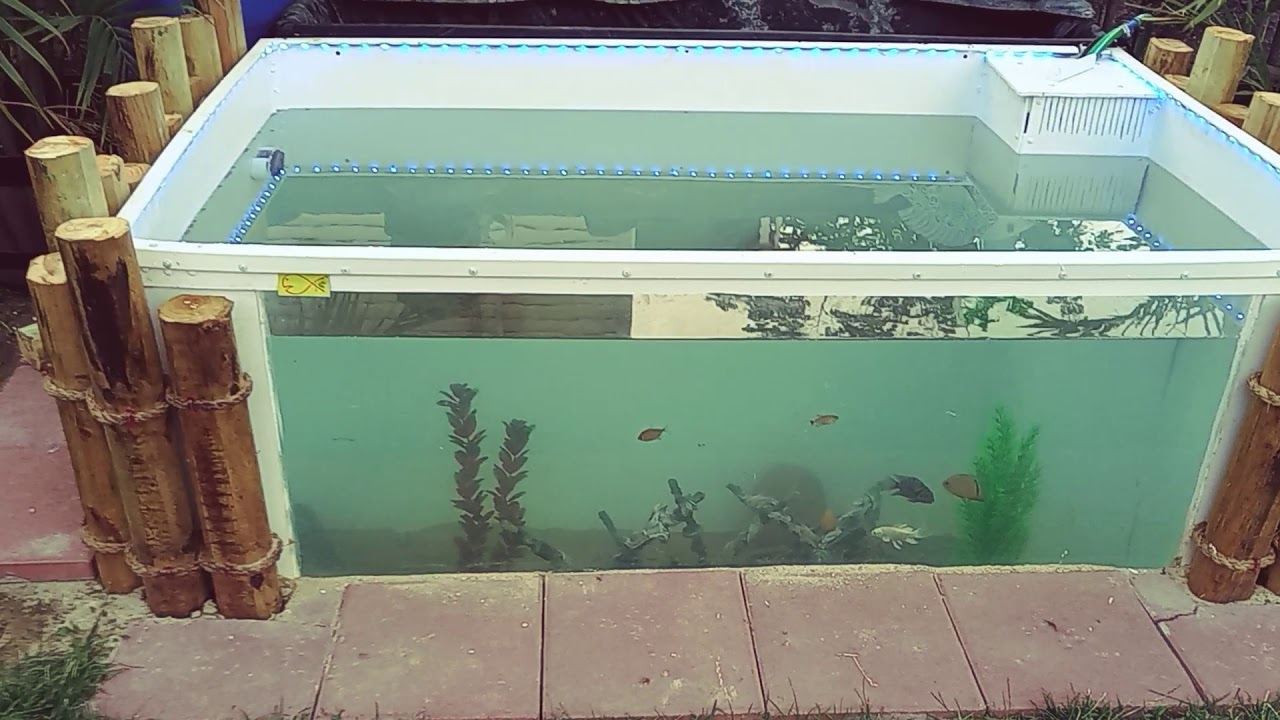 700 gallon fish outdoor pond - YouTube