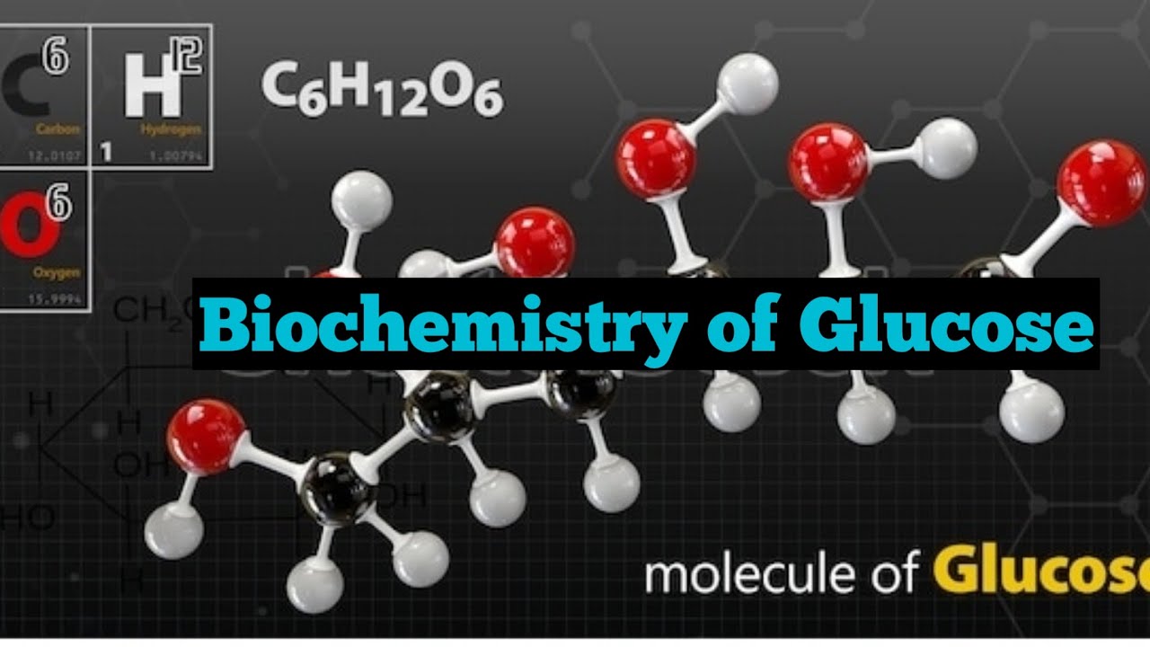 Basic Biochemistry of Glucose || For SSC, HSC, Admission & Medical ...