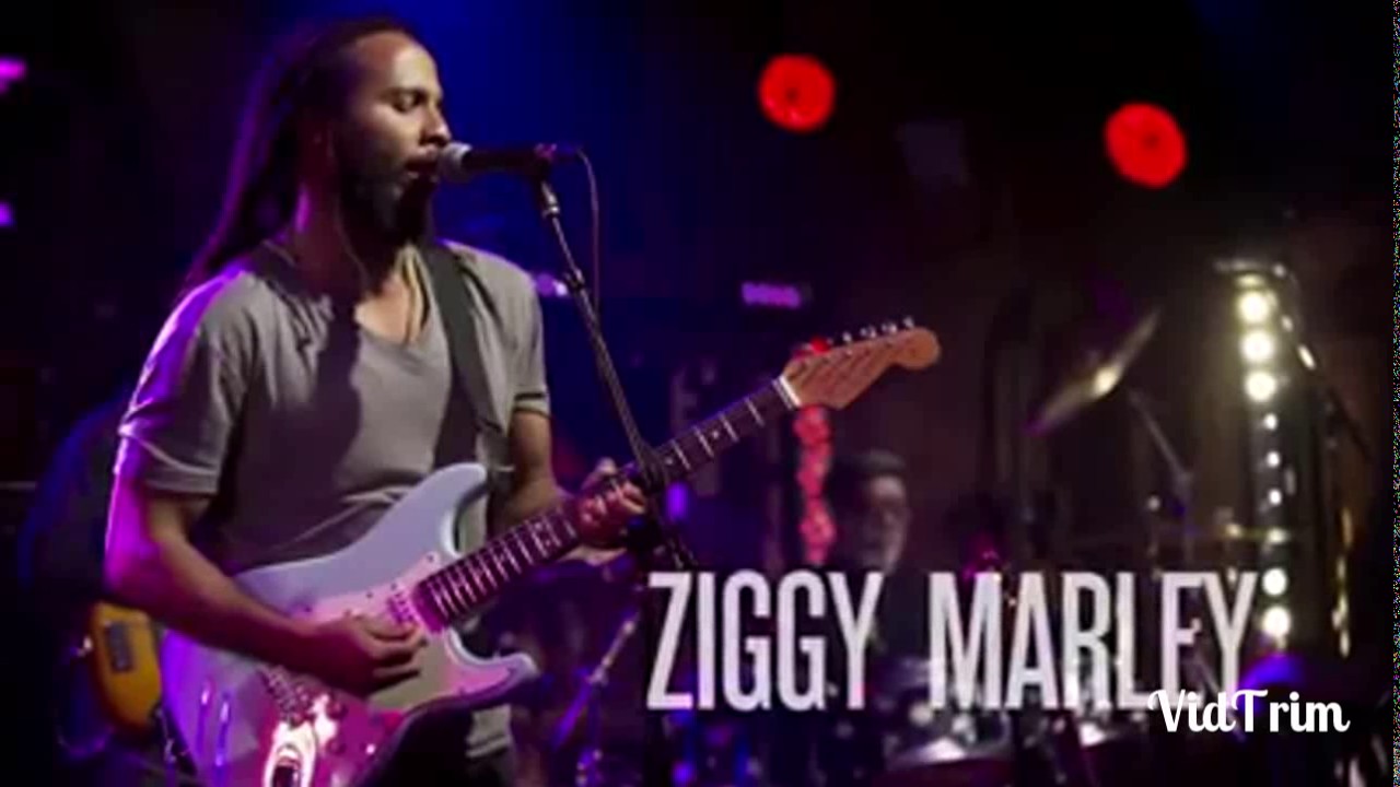 Ziggy Marley - Fly Rasta - Grammy Award winning Song - YouTube Music