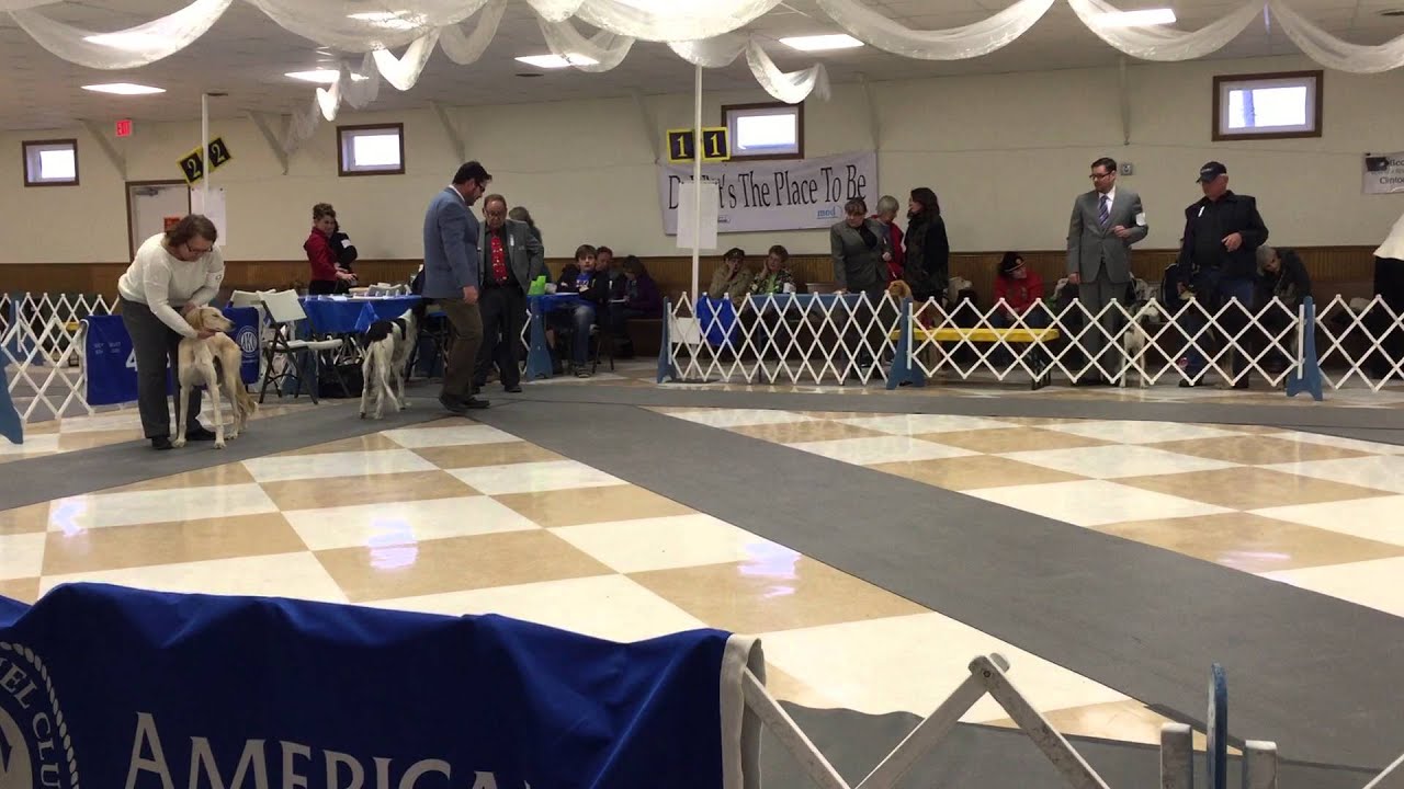 Clinton Iowa Dog Show (De Witt)_03.29.2015_1 - YouTube