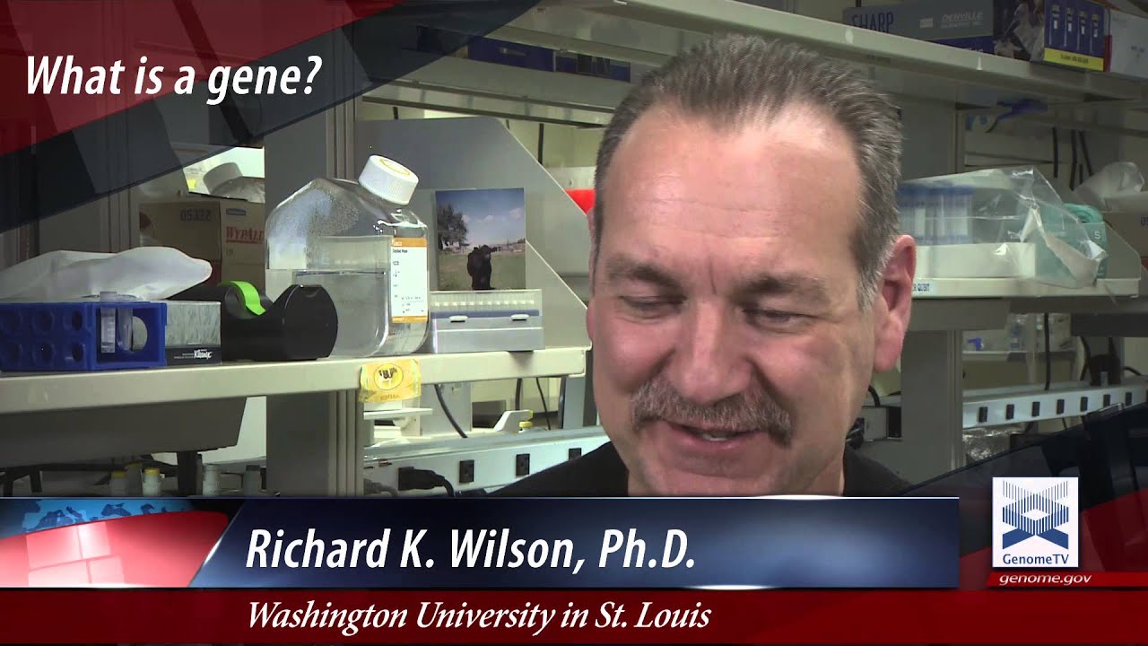 What's a Gene? - Richard Wilson - YouTube