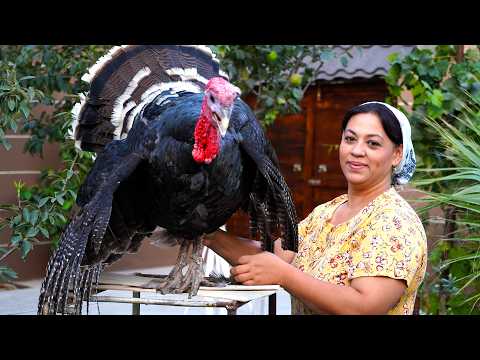 10 KQ HINDUŞQANIN İÇİNƏ DOLMA DOLDURUB 8 SAAT BİŞİRDİK (QONAQLARIMIZ VAR)