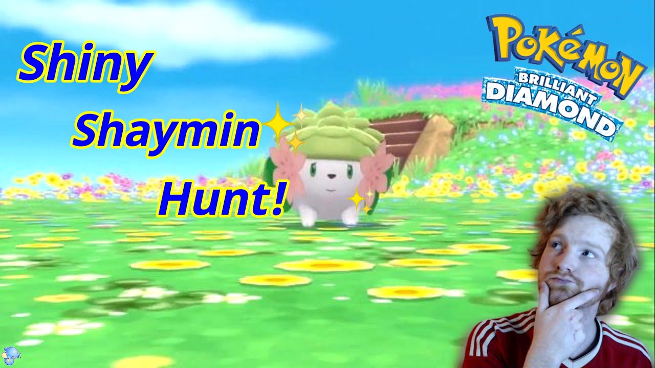 ALMOST 4X ODDS. LET'S GO - Shiny Hunting Shaymin! (Pokemon BDSP) - YouTube