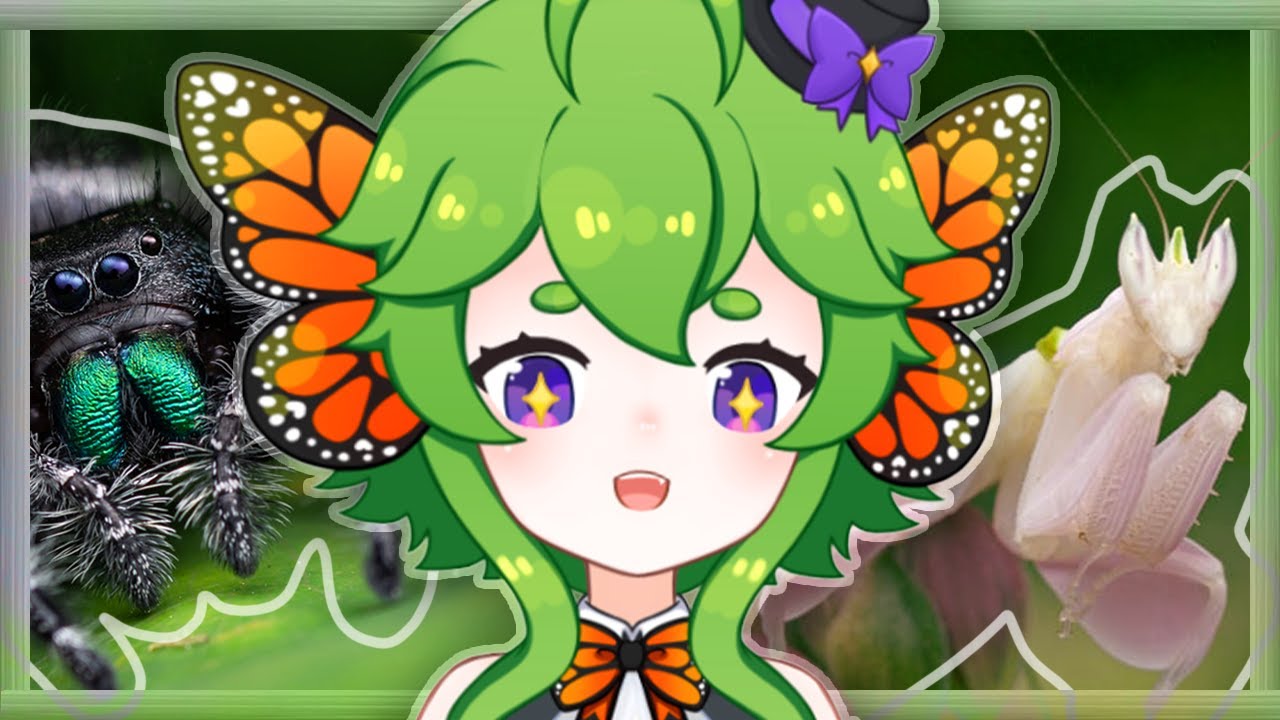 Meet My Pet Bug Friends!【INVERT STREAM】 - YouTube