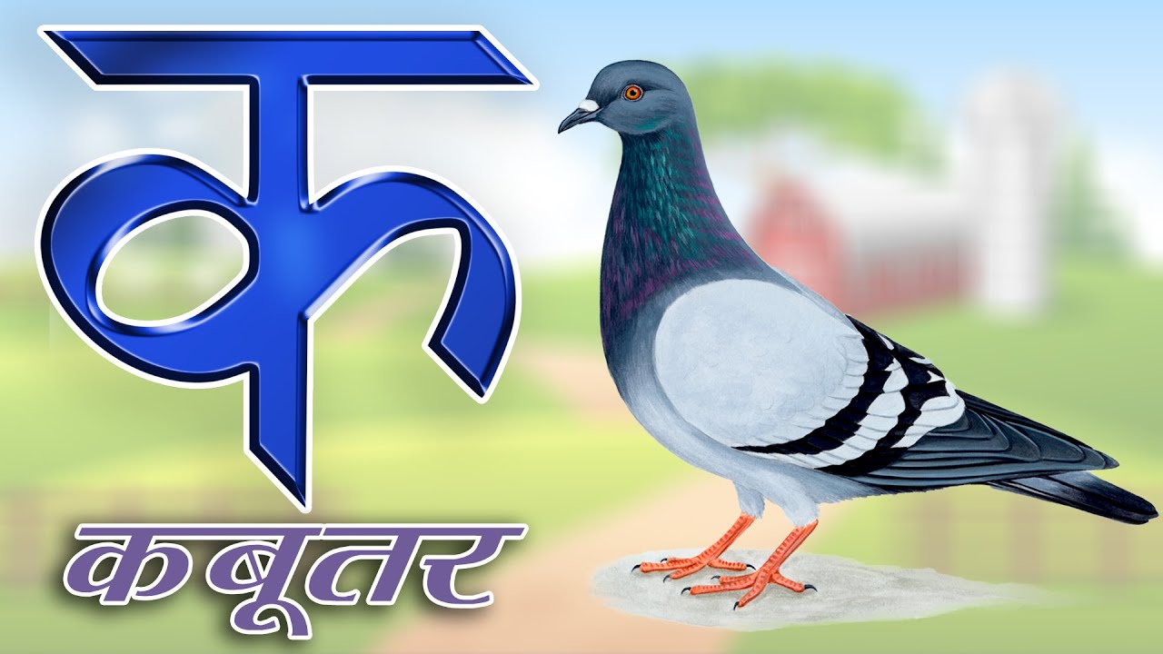 k se Kabutar ka se kabutar kh se khargosh ga se gamla gha se ghadi क ख ...