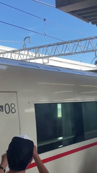 さよなら50002系ロマンスカー VSE 最初が最後になりました。 - YouTube