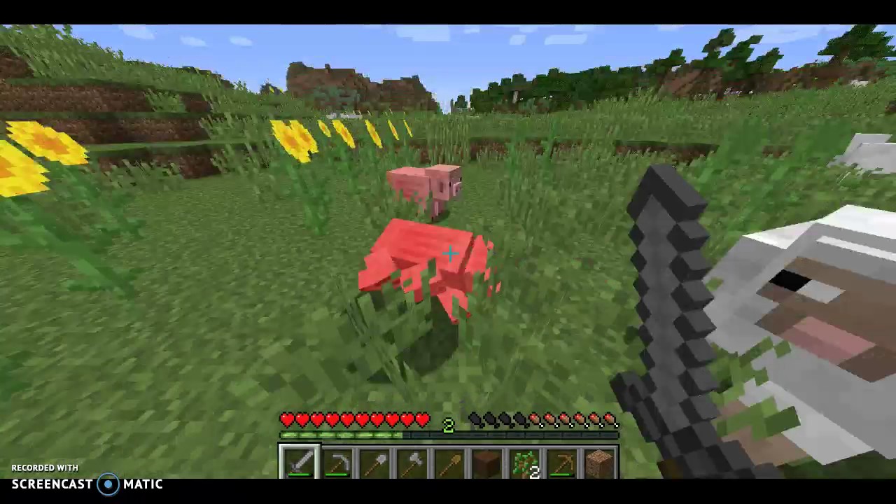 PLAYER VS SHEEPS! - Minecraft SPS (Ep.1) FIRST VIDEO!! - YouTube