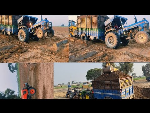 powertrac Euro 55. powertrac Euro 55 trectar की दमदार profermens चेक ...