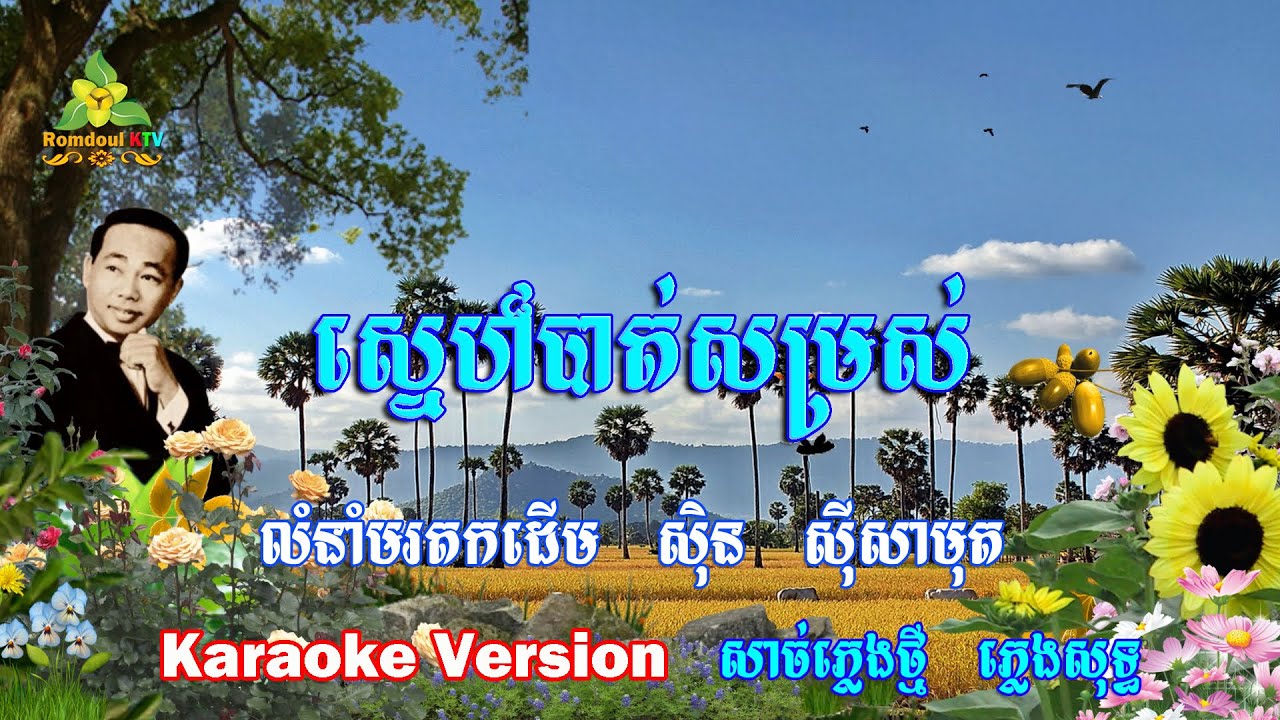ស្នេហ៍បាត់សម្រស់ ភ្លេងសុទ្ធ - Sne Bat Somros Pleng Sot - YouTube